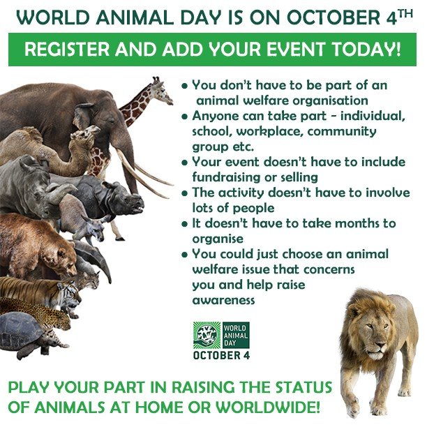 WORLD ANIMAL DAY 2022 : REMINDING ON THEIR RIGHTS