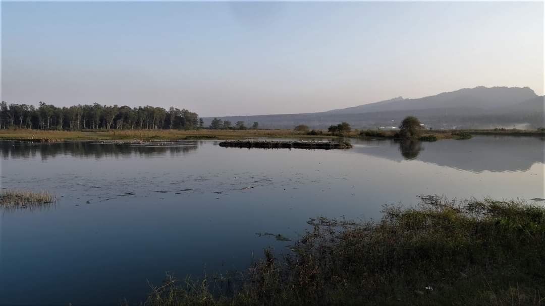 EXPLORING BEAUTIFUL DOON VALLEY : ASAN WETLAND DEHRADUN IS A BIRDS ...