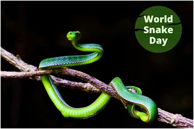 WILDLIFE : NATIONAL ZOOLOGICAL PARK , NEW DELHI OBSERVES WORLD SNAKE DAY