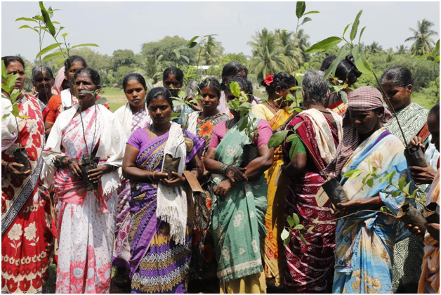 CONSERVATION AND NATURE: DISCOVER HOW TAMIL NADU’S MARGINALISED ‘IRULA TRIBE’ IS DISCOVERING ...