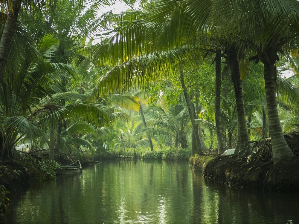 PICTURE OF THE DAY : MUNROE ISLANDS IN KOLLAM IS A TRANQUIL PARADISE ...